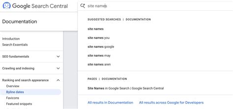 Google Search Developer Docs Gain AI Assistant Help