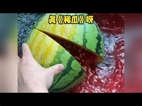 这回知道狗为什么叫狗了吧真是太狗了八点半搞笑配音青风搞笑配音 YouTube