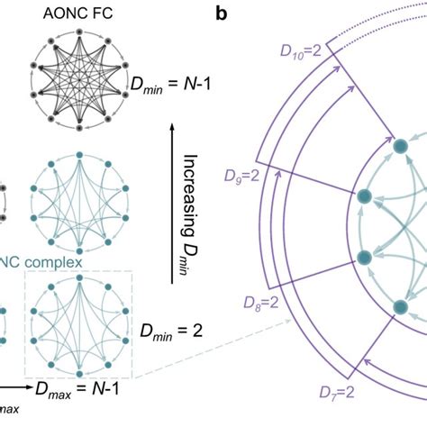 Schematic Of The Generation Of Pbaonc Complex Networks A Schematic Download Scientific Diagram