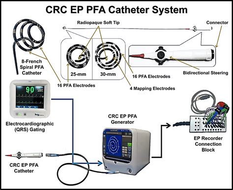 Preclinical Evaluation Of A Novel Single Shot Pulsed Field Ablation