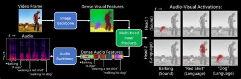 Visual Grounding Of Sound And Language Nvinio • Creator Ai