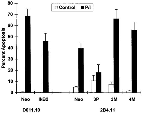 Effect Of Nf Kb Inhibition On Apoptosis After Activation Apoptosis Was