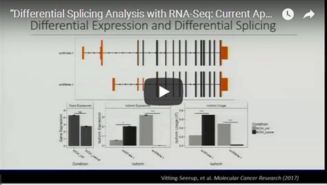 Differential Splicing Analysis With Rna Seq Current Applications