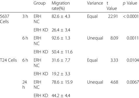 Wound Healing Cell Scratch Migration Assay Download Table