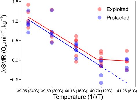 Standard Metabolic Rate And Temperature Relationship Natural Logarithm Download Scientific
