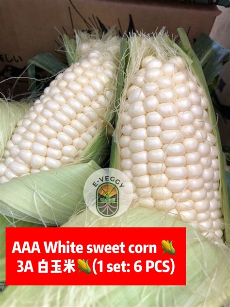 Jagung Putih Manis Cameron Highlands Alexander Henderson