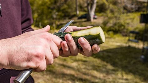 Is A Cucumber Really The Secret To Fixing A Noisy Door Hinge Gidhouse