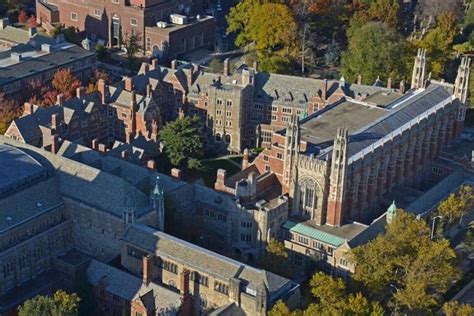 Yale Law Personal Statement Guide Examples And Admit Tips Leland
