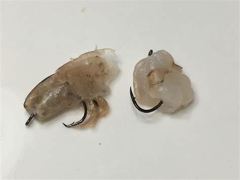 How To Catch Pompano From The Surf The Angler Within Beach Fishing