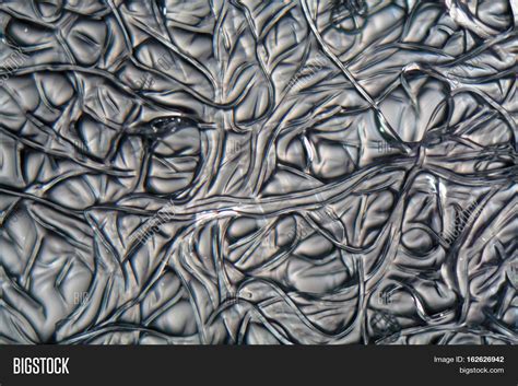 Fibers Cellulose Image And Photo Free Trial Bigstock