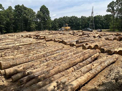 About Compass South Forestry • Compass South Forestry