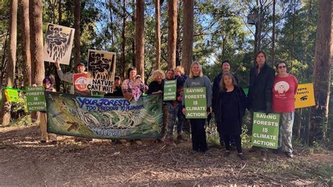 Anti Logging Protests Ramp Up In Bulga State Forest As Nsw Government
