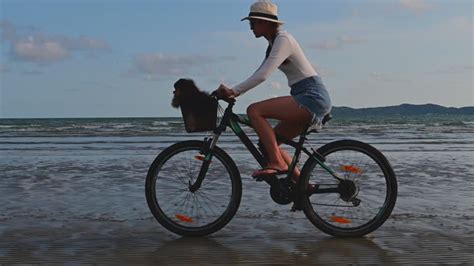 9713 Beach Flashing Stock Videos Footage And 4k Video Clips Getty Images