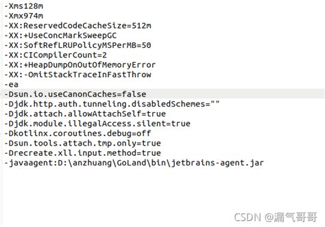 运行 Golandsh报错openjdk 64 Bit Server Vm Warning Option