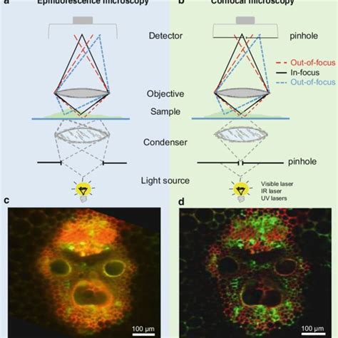 A Main Components Of An Atomic Force Microscope B A Download Scientific Diagram