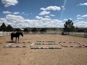 Ground Pole Exercises Budget Equestrian