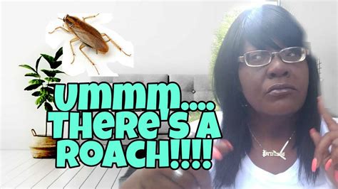 Storytime Sis Your House Is Nasty🤢 Youtube