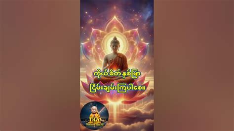 🙏🙏🙏 တရားတော်များ မနက်တိုင်းဖွင့် ညပိုင်းမေတ္တာပို့များ ညတိုင်းဖွင့