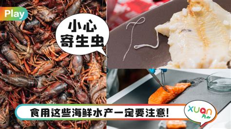 《常识》5种最容易藏有寄生虫的食物，海鲜就占据最多？ 知乎