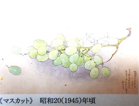 はるさん図鑑 隣の歌 鶯庵の日常
