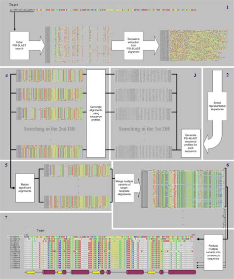 Main Steps In The Psi Blast Iss Execution Psi Blast Iss Comprises Download Scientific Diagram