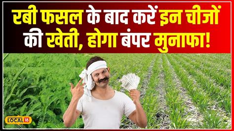Farming Tips रबी की कटाई के बाद खाली पड़े खेत में करें इस फसल की