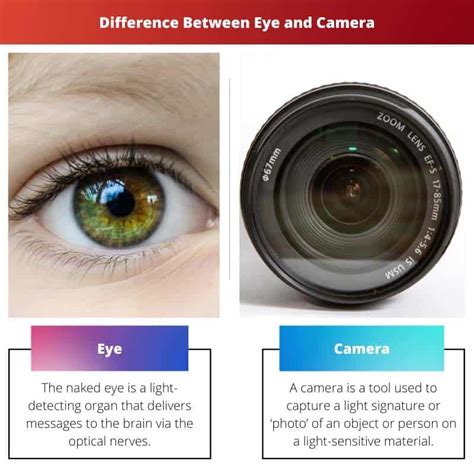 Difference Between Eye And Camera Difference Between Riset