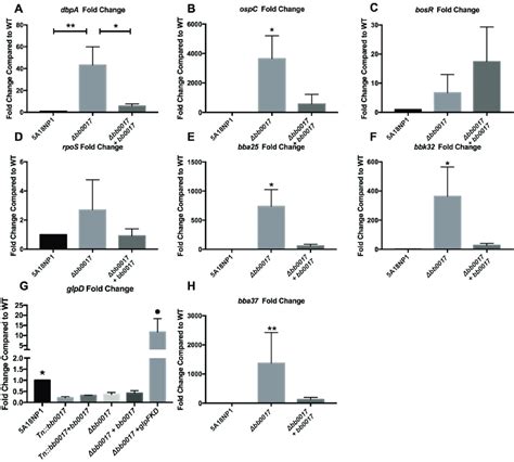 Validation Of Rna Seq By Rt Qpcr Rt Qpcr For Expression Of A Panel Of