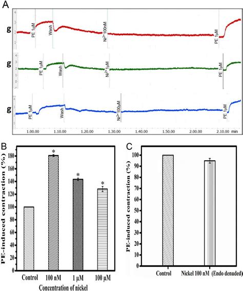 Effect Of Nickel On Pe Induced Contraction A Representative Traces