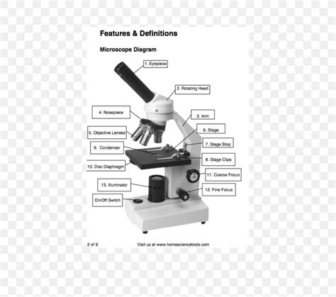Microscope Angle Png 561x726px Microscope Optical Instrument
