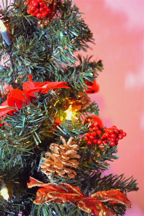 Hari Natal Pohon Cemara Foto Gratis Di Pixabay Pixabay