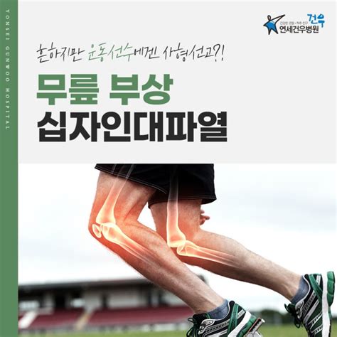 흔하지만 운동선수에겐 사형선고와도 같은 부상 십자인대파열 네이버 블로그