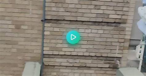 Good Vibes Album On Imgur