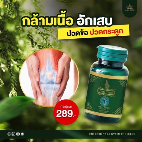 ส่งฟรีสมุนไพร คลายเส้น บรรเทาอาการปวด ผ่อนคลาย เส้นประสาท แก้ปวด เมื่อย
