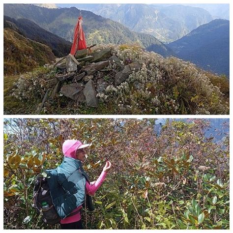 A Bliss Escapade In Himalayas Indu Travel Tales