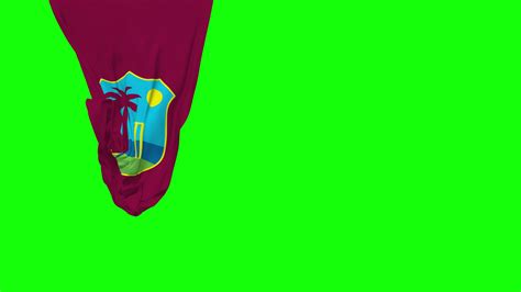 Cricket West Indies Cwi Hanging Fabric Flag Waving In Wind 3d