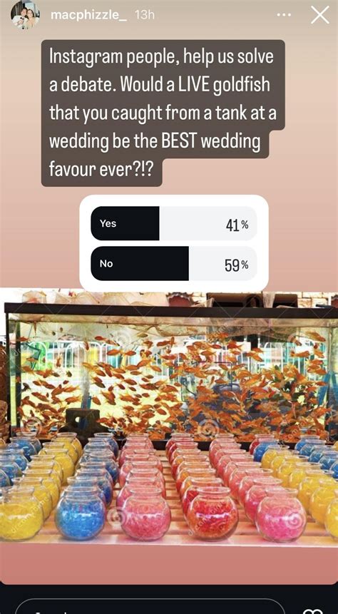 Frat Bro Posted This On Ig Raquariums