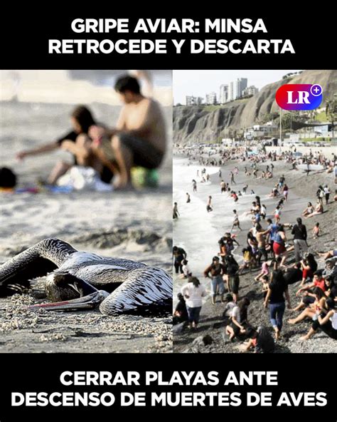Gripe Aviar Minsa Retrocede Y Descarta Cerrar Playas Ante Descenso De