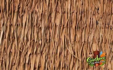 Tiki Hut Grass Types Tips And Facts