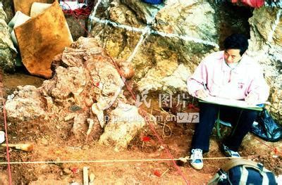 安徽繁昌人字洞发掘出乳齿象骨骼化石 人民图片网