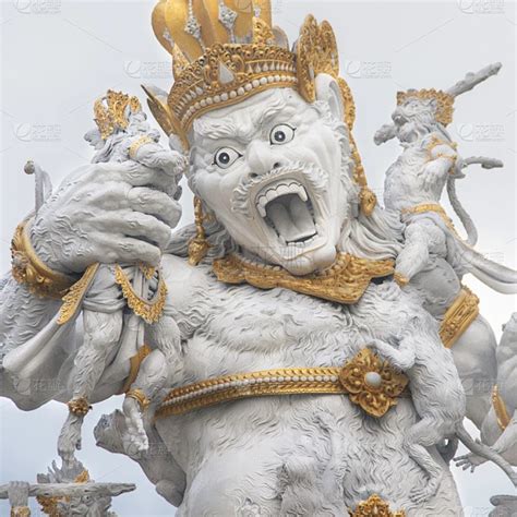 埃卡·卡里亚素材 花瓣网