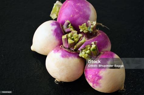 순무 또는 흰 순무 브라 시카 라파 는 흰색의 다육 질의 뿌리 줄기로 전 세계적으로 온화한 기후에서 일반적으로 재배되는 뿌리 채소입니다 검은색 배경의 흰색과 보라색 순무