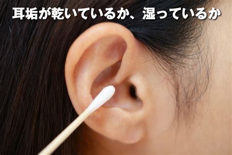 耳垢が乾いているか湿っているか 諌山裕の仕事部屋