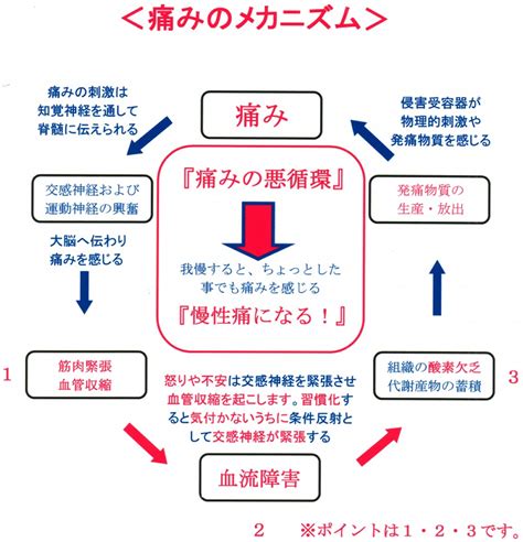 メカニズム Meddic