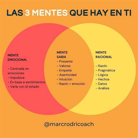 Pin De Eulimar Travieso En Estilo De Vida En 2025 Psicologa Emocional