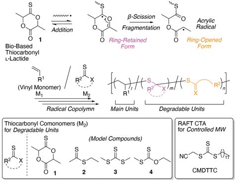 Addition Fragmentation Ring‐opening Polymerization Of Bio‐based Thiocarbonyl L‐lactide For Dual