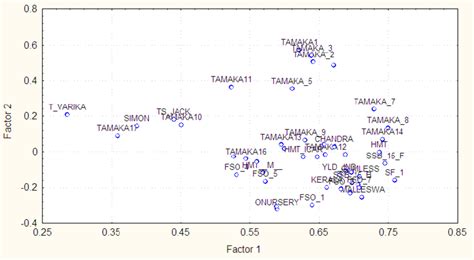 two dimensional principal component analysis based on amplified