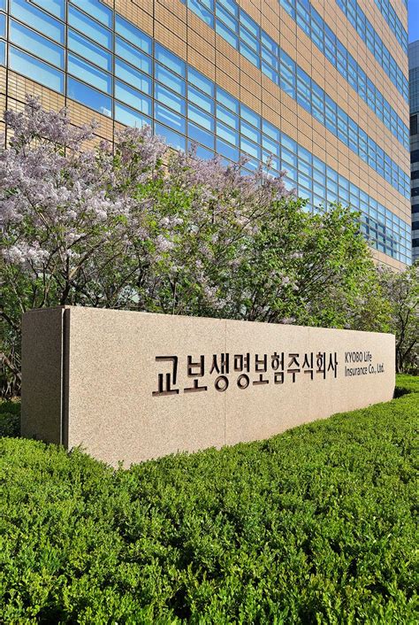 교보생명 가상언더라이팅 확대가입 문턱은 낮게 보장·보험료 혜택은 높게 파이낸셜뉴스