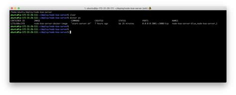 Travis Ci Aws Codedeploy Docker 로 배포 자동화 및 무중단 배포 환경 구축하기 2