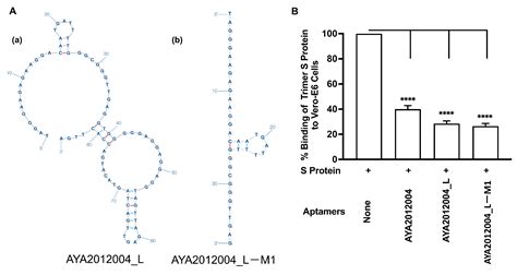 High Affinity Neutralizing Dna Aptamers Against Sars Cov 2 Spike